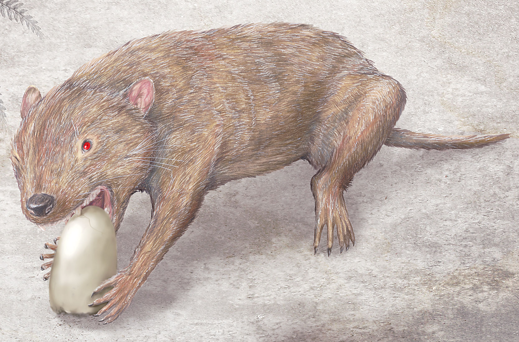 Fossils found | News, Sports, Jobs - Minot Daily News